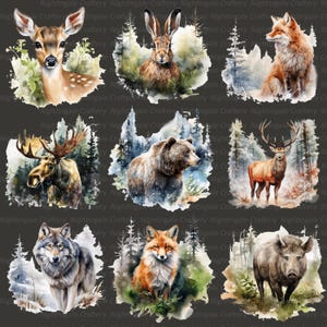 200+ Forest Animals Clipart Pack, 20 Collections, Printable Watercolor ...