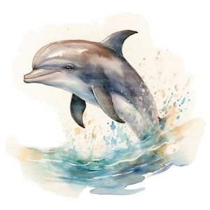 12 Dolphin Clipart, Dolphin Playing Clipart, Printable Watercolor ...