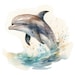 12 Dolphin Clipart, Dolphin Playing Clipart, Printable Watercolor ...