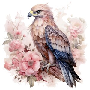 10 Floral Hawk Clipart, Adorable, Digital Clipart, Watercolor Clipart ...