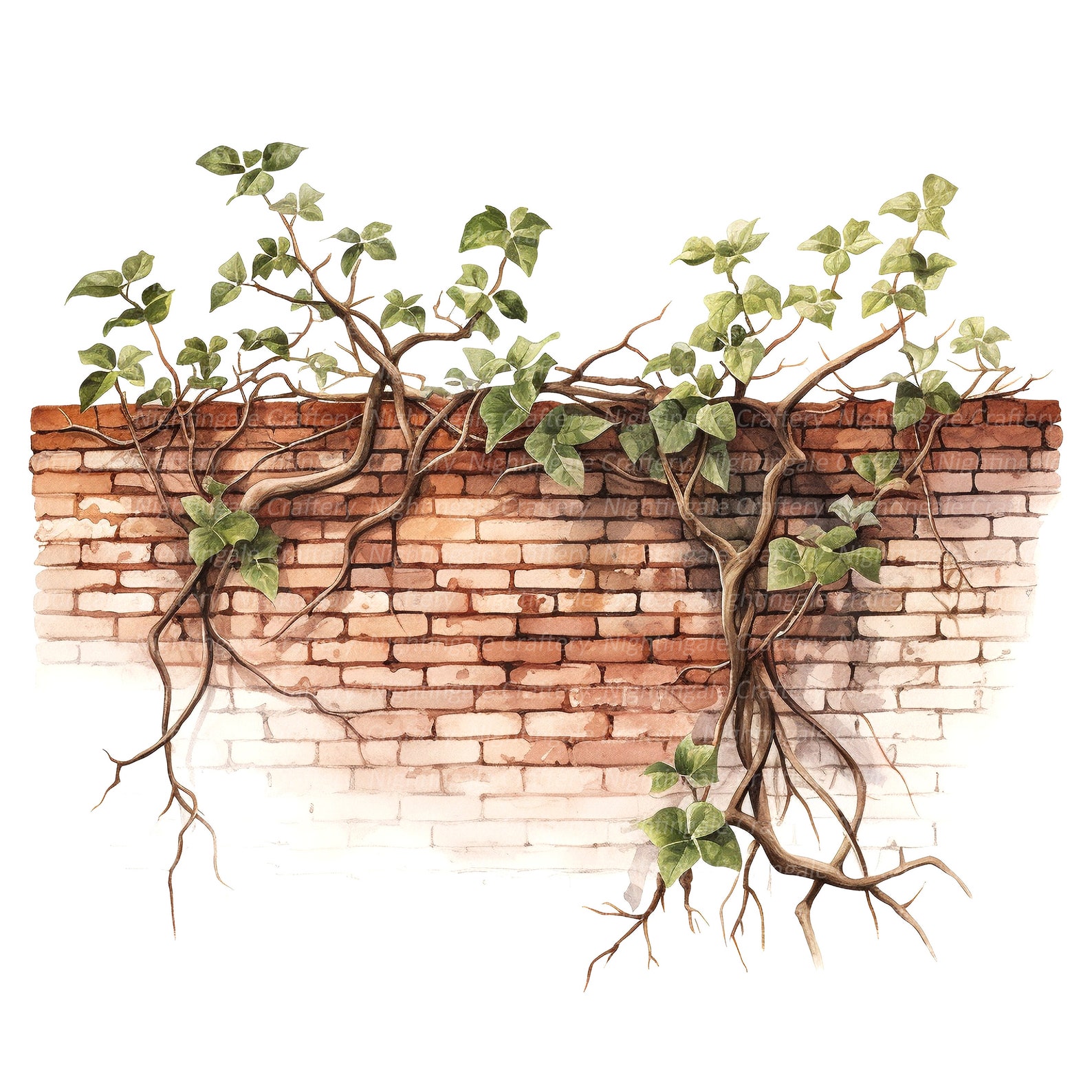 12 Brick Wall and Vines Clipart, Vine Leaves, Printable Watercolor ...