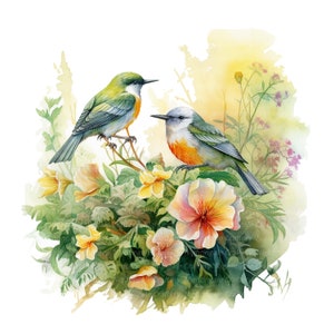 10 Floral Birds in Garden Clipart, Printable Watercolor Clipart, High ...