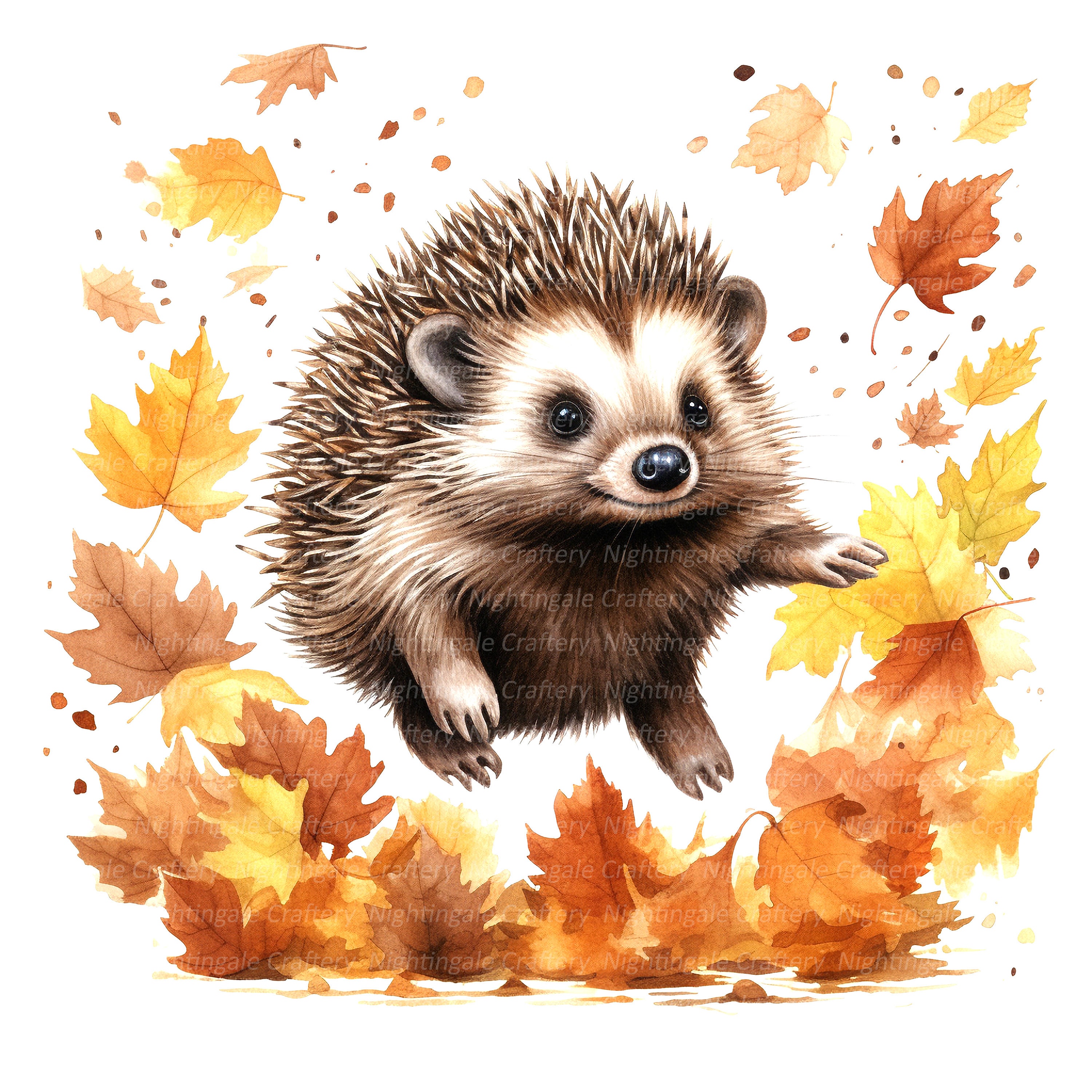 10 Happy Hedgehog in Autumn Clipart, Printable Watercolor Clipart, High ...