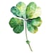 11 Shamrock Clipart, Clover Clipart, Printable Watercolor Clipart, High ...