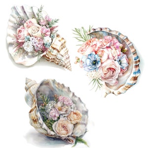 14 Floral Sea Shells Clipart, Seashell Clipart, Printable Watercolor ...