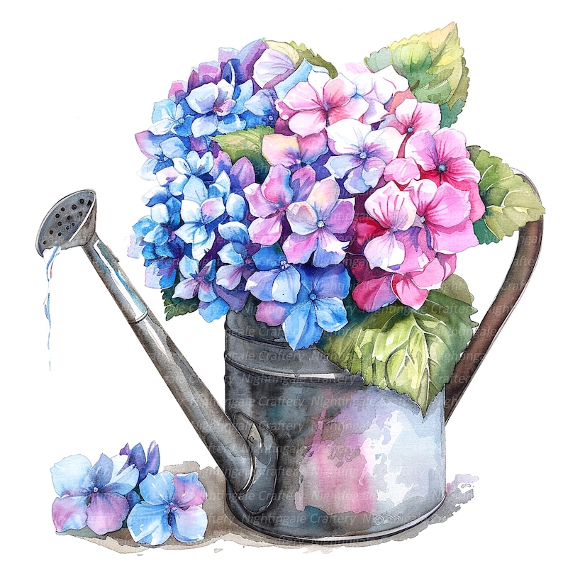 10 Various Hydrangea Clipart, Hydrangea Bouquet, Printable Watercolor ...