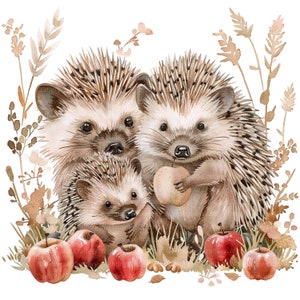 12 Hedgehog Family Clipart, Hedgehog Clipart, Printable Watercolor ...