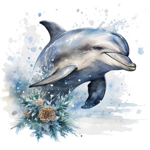 12 Christmas Dolphin Clipart, Christmas Card, Printable Watercolor ...