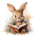 12 Bunny Reading Book Clipart, Bunny Clipart, Printable Watercolor ...