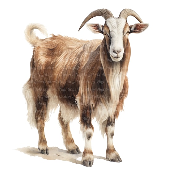 Clipart Di Capretto Animale Cucciolo Di Capra Vettoriali,