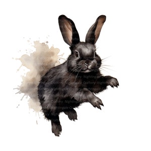 10 Black Bunny Clipart, Black Rabbit Clipart, Printable Watercolor ...