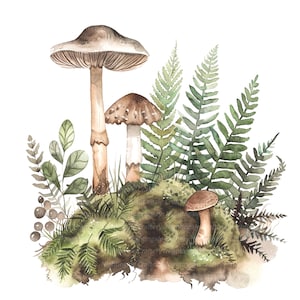 10 Botanical Ferns Clipart, Fern Moss Decor, Printable Watercolor ...