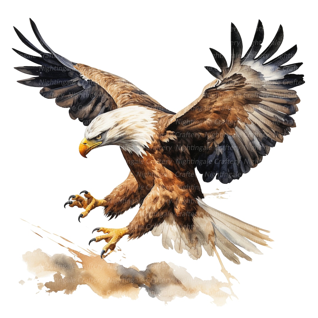 12 Eagle Clipart, Bald Eagle, Printable Watercolor Clipart, High ...