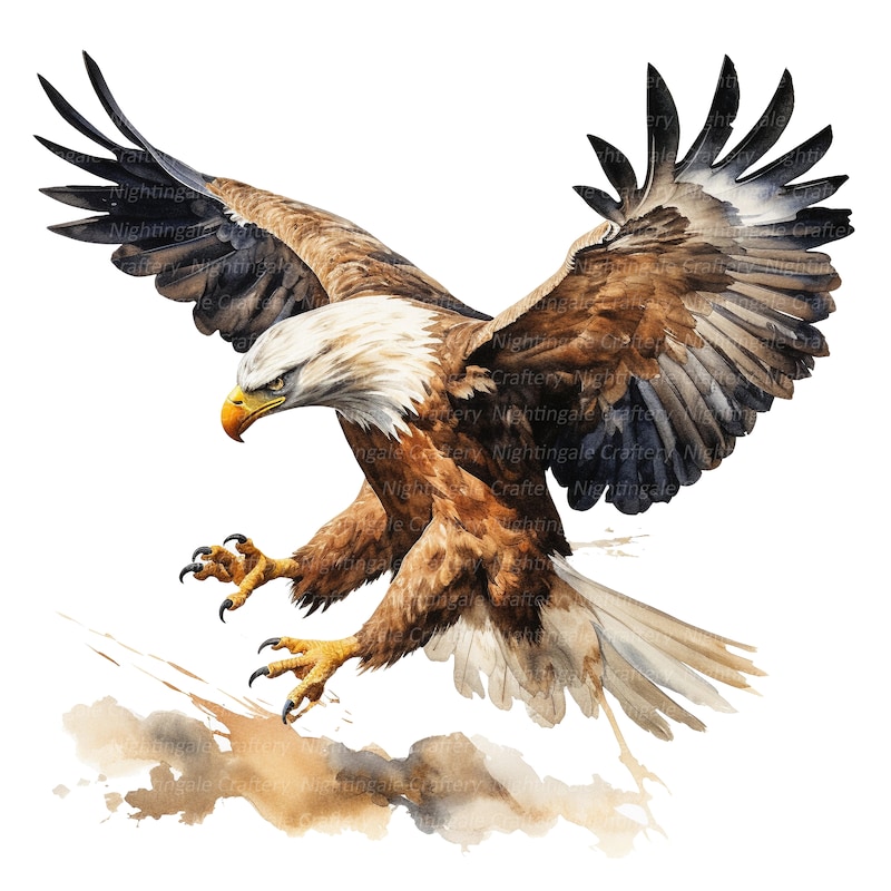 War Eagle - Etsy