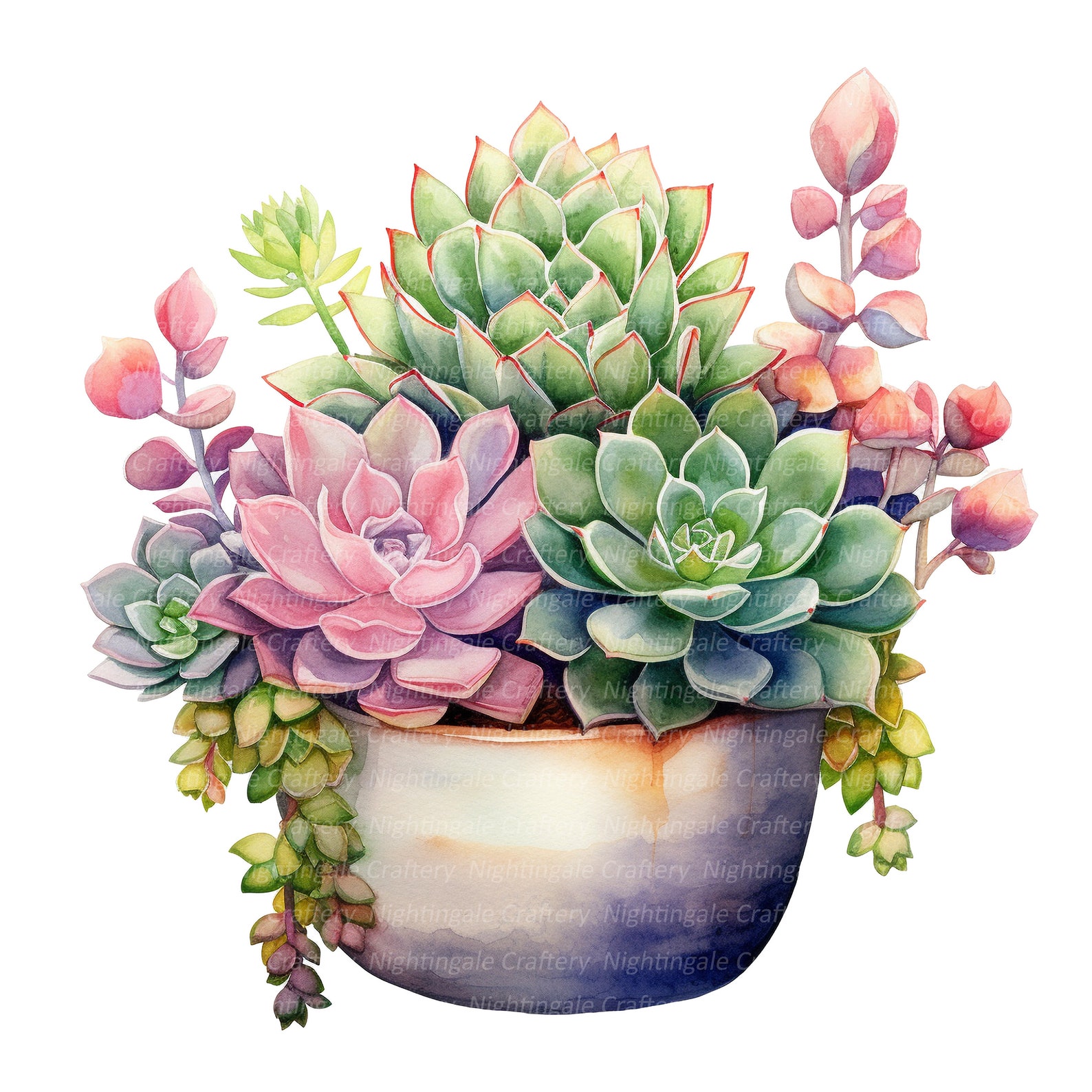12 Potted Succulents Clipart, Succulent Pot, Printable Watercolor ...