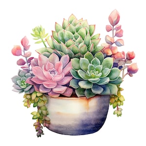 12 Potted Succulents Clipart, Succulent Pot, Printable Watercolor ...