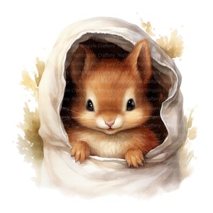 9 Cute Squirrel Hiding Clipart, Squirrel Clipart, Printable Watercolor ...