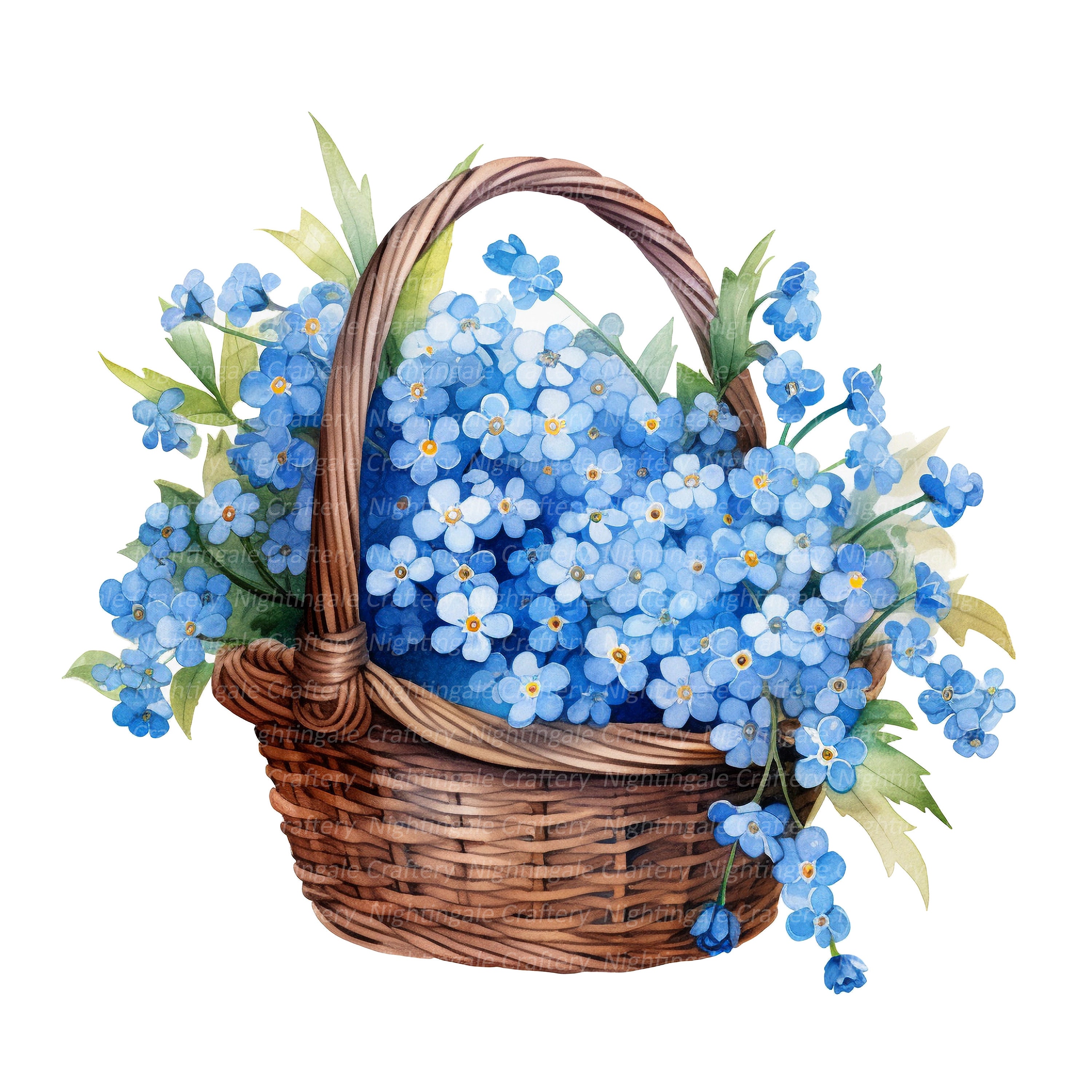 8 Forget Me Not Clipart Forget-me-not Basket Printable - Etsy
