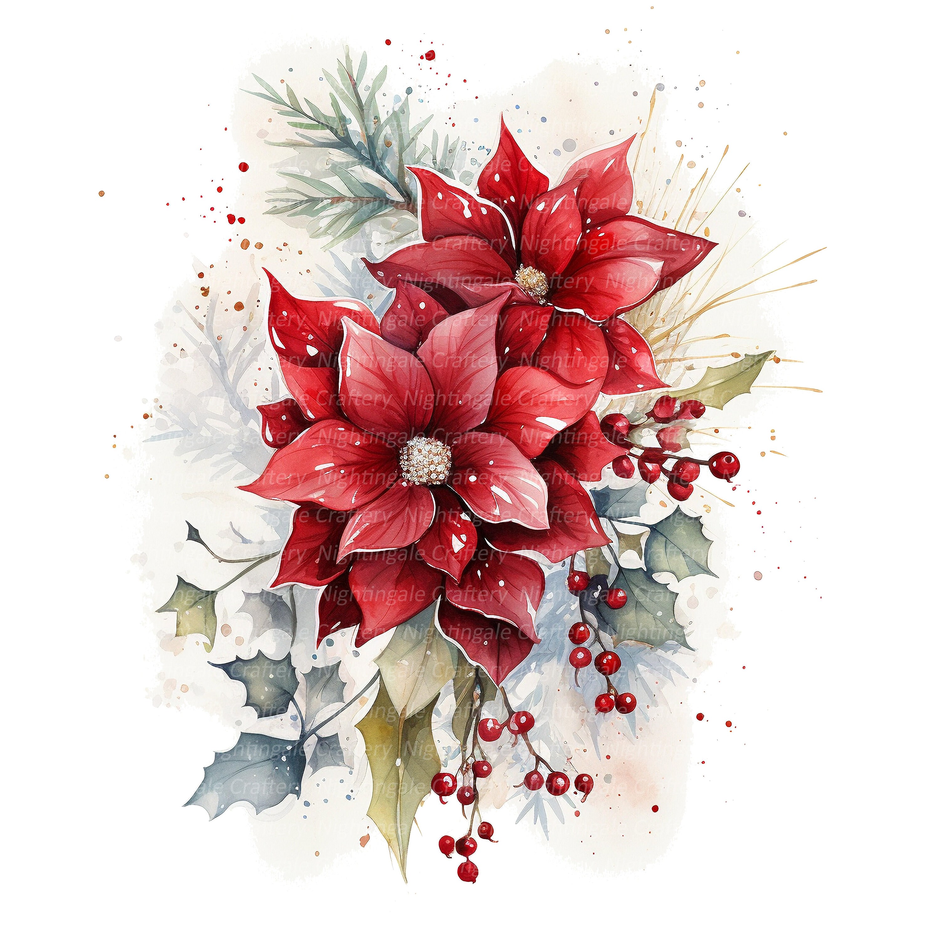 8 Poinsettia Decor Clipart, Christmas Clipart, Digital Clipart ...