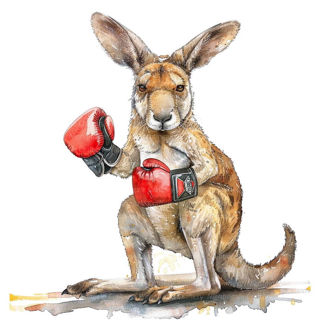 10 Funny Cangaroo Boxing Clipart, Printable Watercolor Clipart, High ...