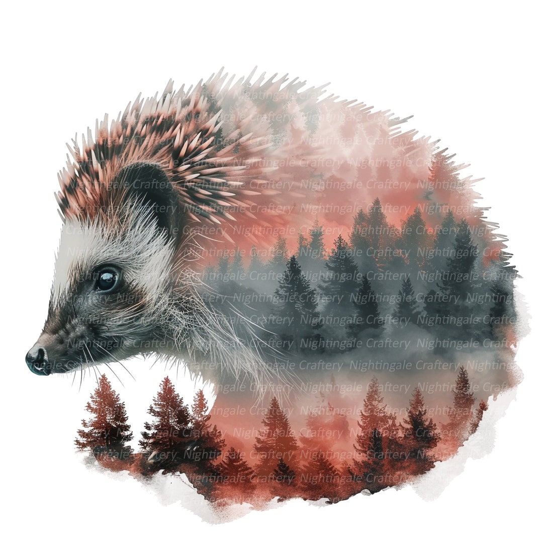 8 Hedgehog Wall Art, Hedgehog Photo, Printable Wall Art, High Quality ...