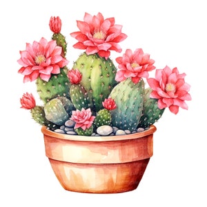 12 Cactus in Pot Clipart, Blooming Cactus, Printable Watercolor Clipart ...