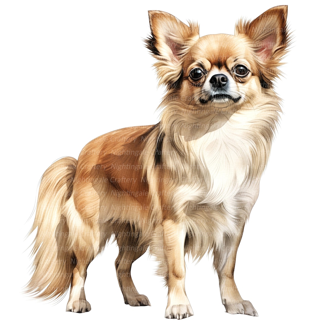 10 Chihuahua Dog Clipart, Printable Watercolor Clipart, High Quality ...