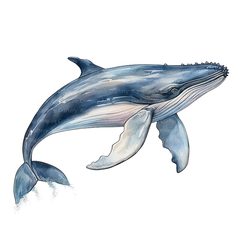 10 Whale Clipart, Blue Whale Poster, Printable Watercolor Clipart, High ...