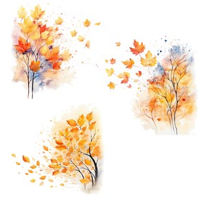 14 Autumn Leaves Windy Clipart, Fall Leaves, Printable Watercolor ...