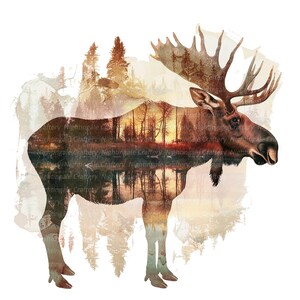 8 Moose Wall Art, Moose Photo, Printable Wall Art, High Quality Jpg ...