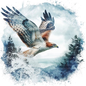 10 Hawk Snow Forest Clipart, Watercolor Hawk, Printable Watercolor ...