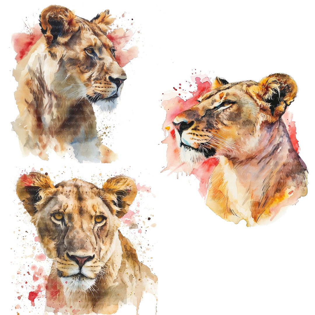 14 Lioness Clipart, Watercolor Lioness Painting, Printable Watercolor ...