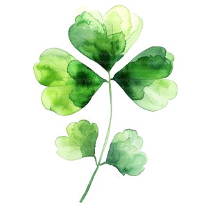 11 Shamrock Clipart, Clover Clipart, Printable Watercolor Clipart, High ...