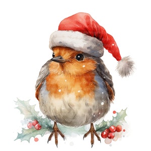 10 Christmas Robin in Hat Clipart, Printable Watercolor Clipart, High Quality Jpgs, Digital ...
