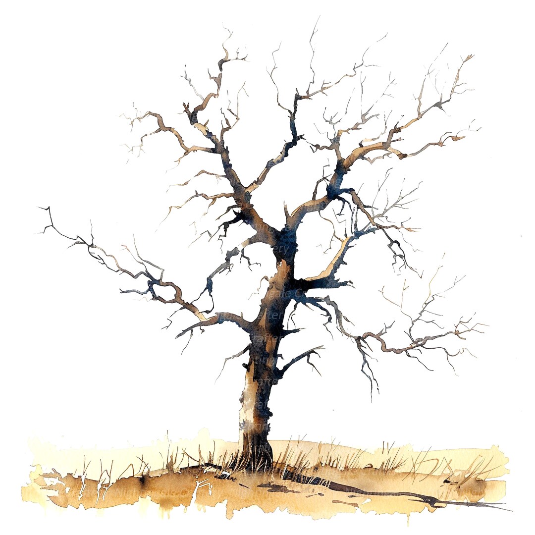 12 Dead Tree Clipart, Broken Tree Print, Printable Watercolor Clipart ...