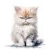 12 Grumpy Sad Kitten Clipart, Cat Clipart, Printable Watercolor Clipart ...