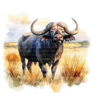 10 African Buffalo Clipart, Safari Buffalo, Printable Watercolor ...