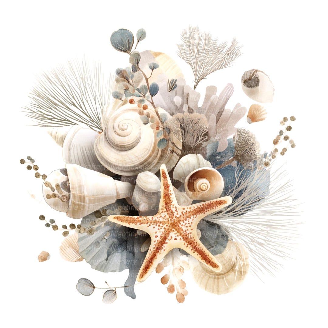 10 Boho Sea Shells Clipart, Seashell Clipart, Printable Watercolor ...