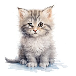 16 Wet Kitten Clipart, Wetted Kitten, Printable Watercolor Clipart ...