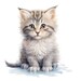 16 Wet Kitten Clipart, Wetted Kitten, Printable Watercolor Clipart ...