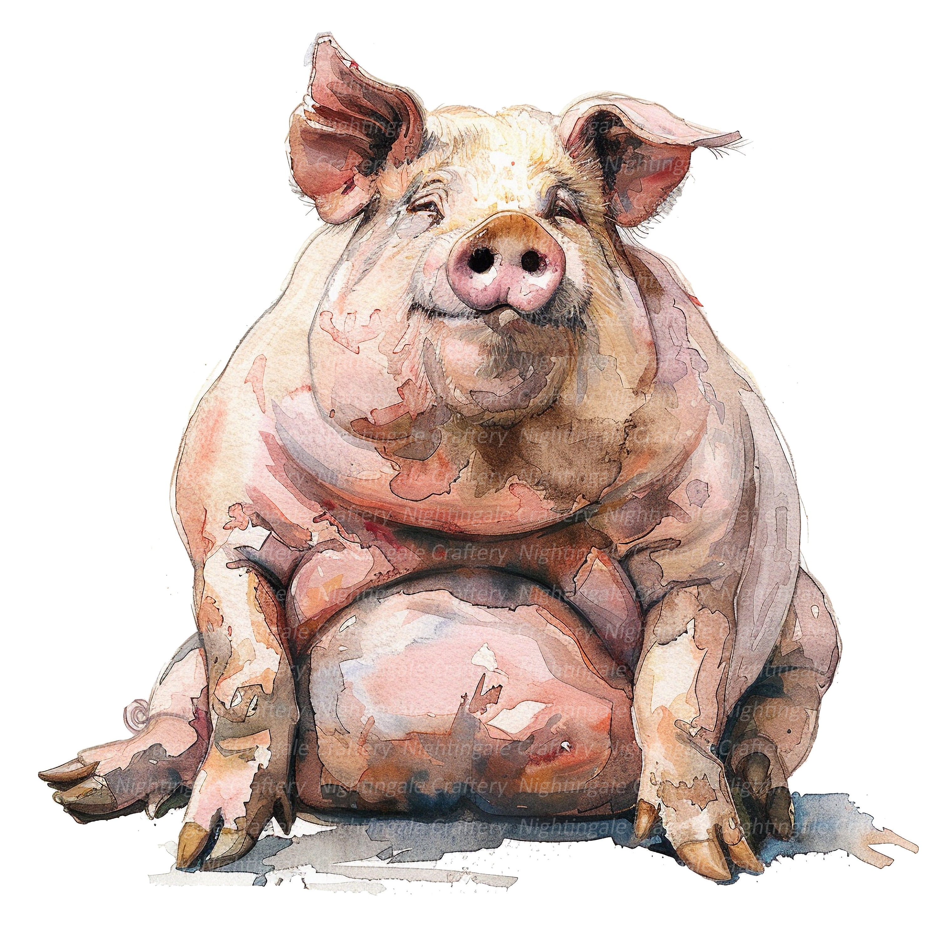 12 Fat Pig Clipart, Big Pig, Printable Watercolor Clipart, High Quality ...