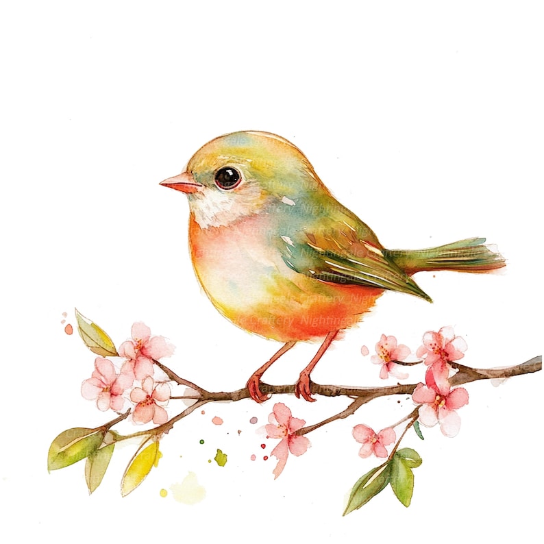 10 Floral Bird Clipart, Spring Birds Clipart, Printable Watercolor ...