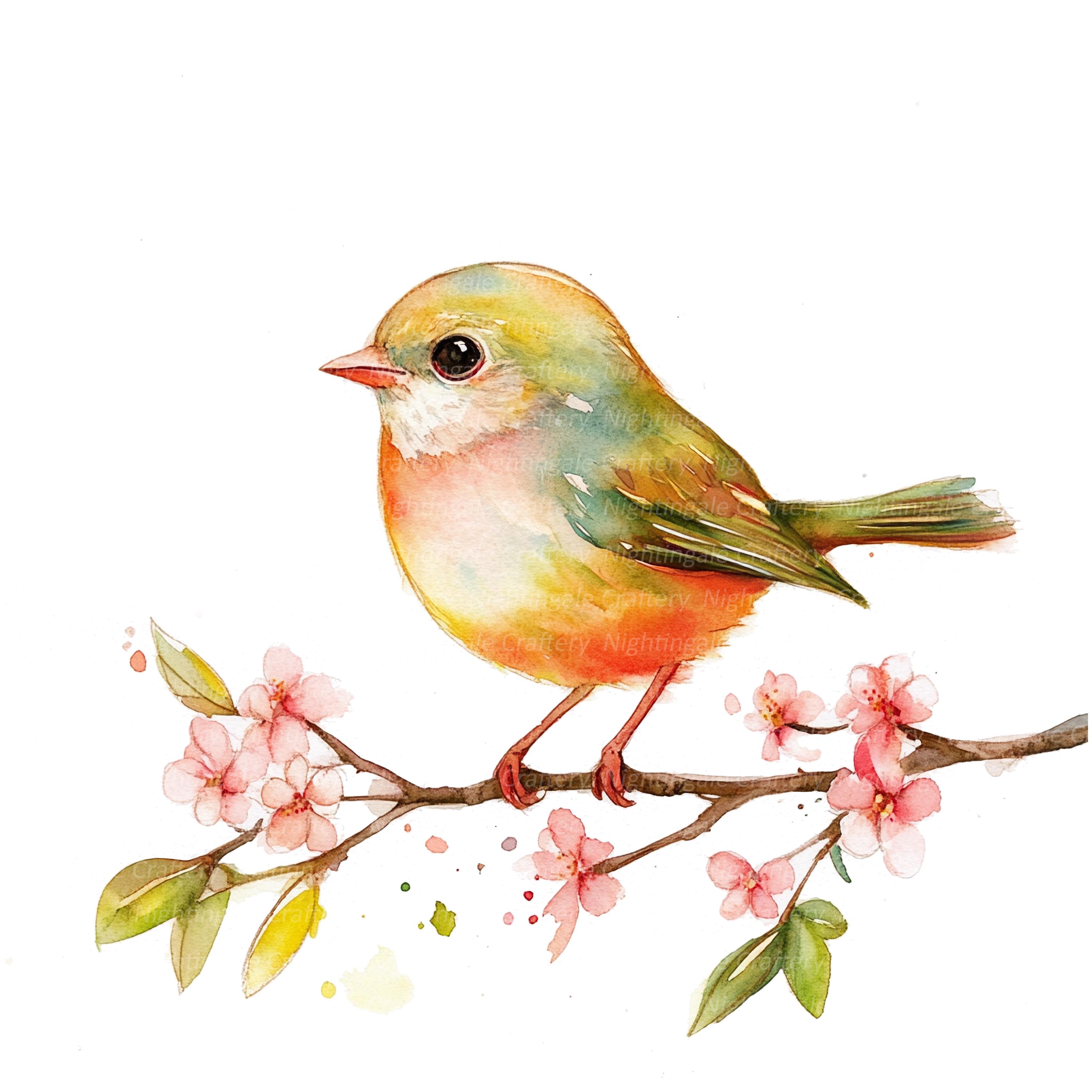 10 Floral Bird Clipart, Spring Birds Clipart, Printable Watercolor ...