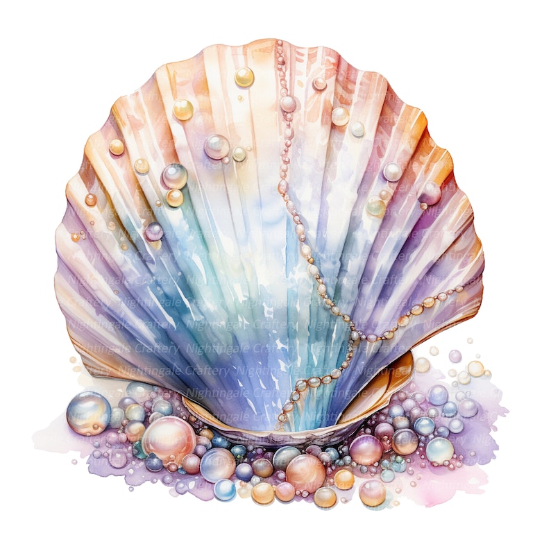 12 Sea Shells Pearls Clipart, Seashell Clipart, Printable Watercolor ...
