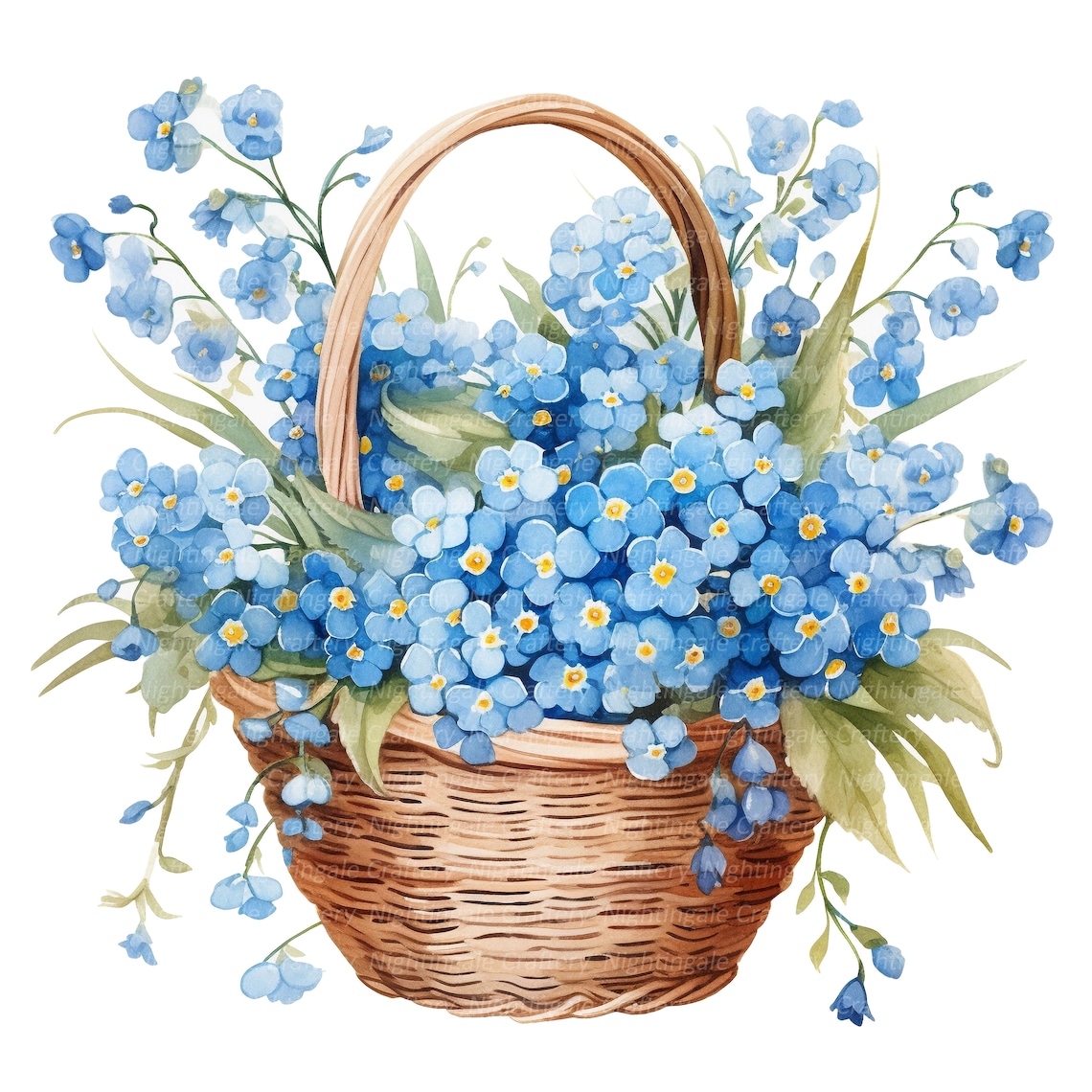 8 Forget Me Not Clipart Forget-me-not Basket Printable - Etsy