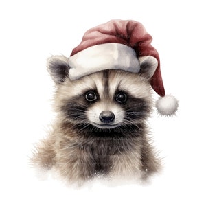 10 Raccoon in Santa Hat Clipart, Racoon, Printable Watercolor Clipart ...
