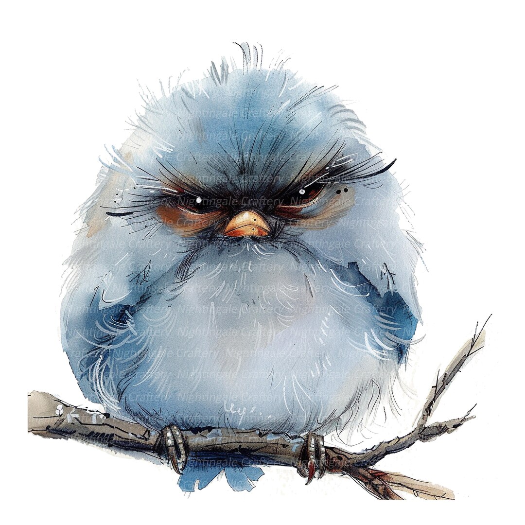 16 Grumpy Bird on Branch Clipart, Digital Clipart, Watercolor Clipart ...