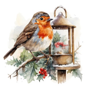 12 Christmas Robin Clipart Set 2, Printable Watercolor Clipart, High ...