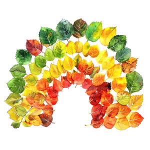 11 Autumn Leaves Clipart, Rainbow Clipart, Printable Watercolor Clipart ...