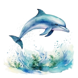 12 Dolphin Clipart, Dolphin Playing Clipart, Printable Watercolor ...